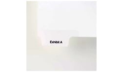 Legal Index Tabs for Lawyers & Paralegals | Durable & Customizable ...